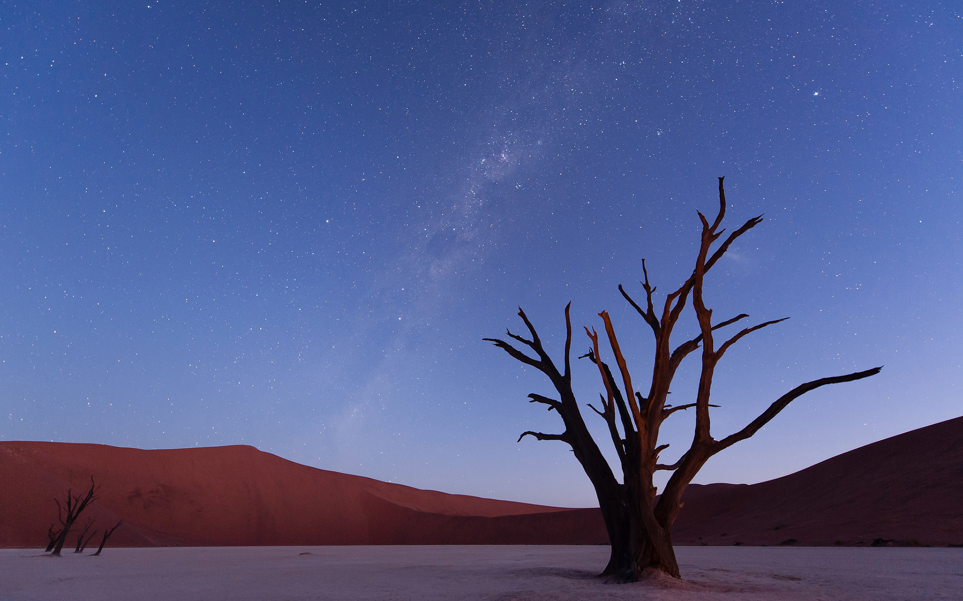 Download Tree Star Nature Desert HD Wallpaper