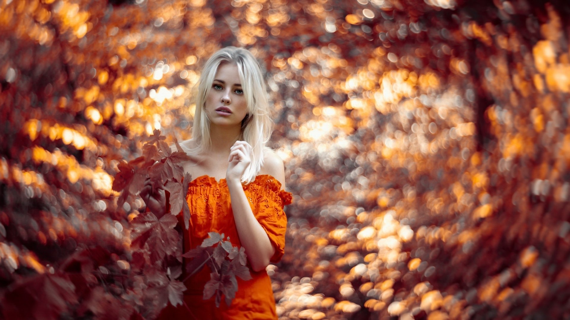 Download Depth Of Field Bokeh Blonde Woman Model HD Wallpaper