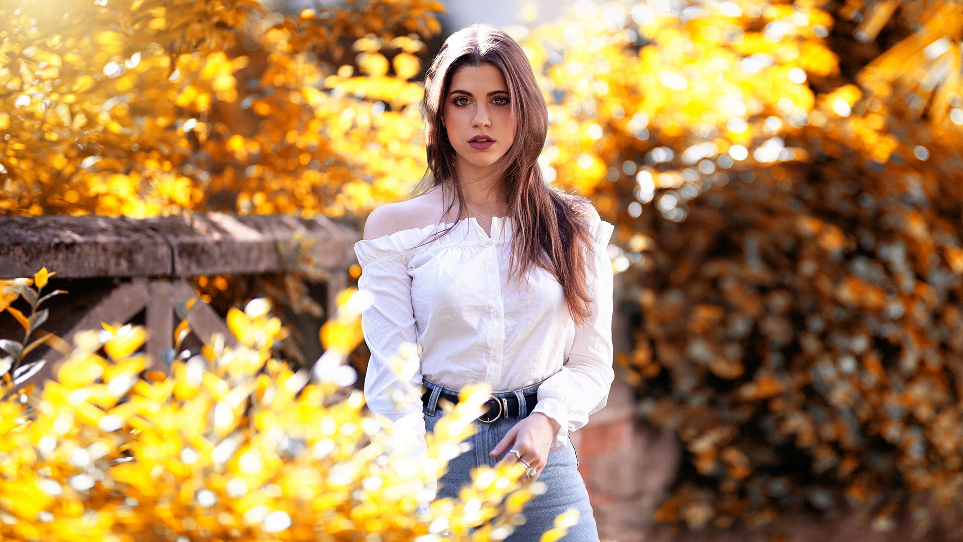 Download Depth Of Field Brown Eyes Long Hair Brunette Woman Model HD ...