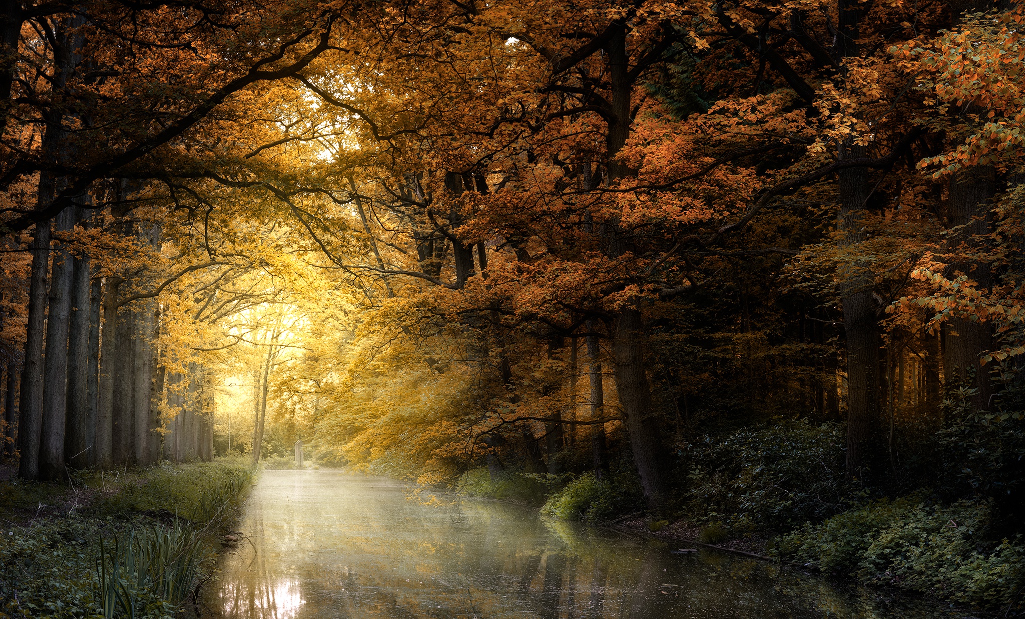 Serene Autumn Forest River - HD Nature Wallpaper