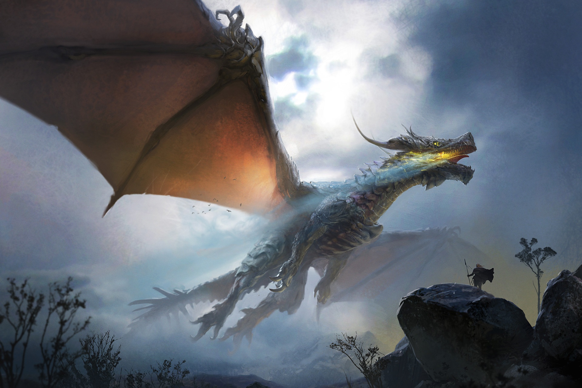 Flying Dragon Wallpaper