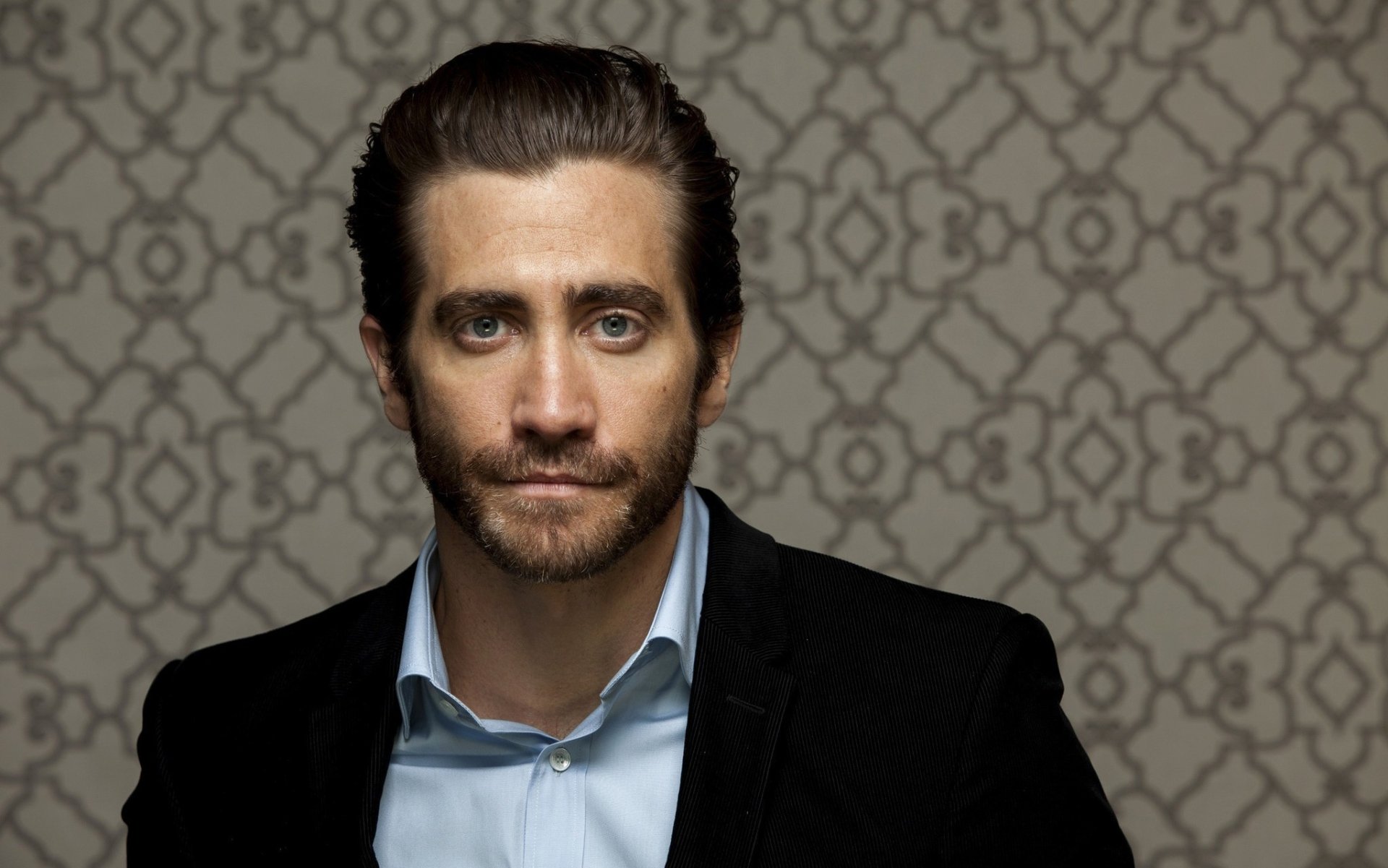 Download Blue Eyes American Actor Celebrity Jake Gyllenhaal HD Wallpaper