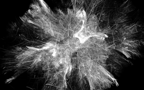 [280+] White 4k Wallpapers