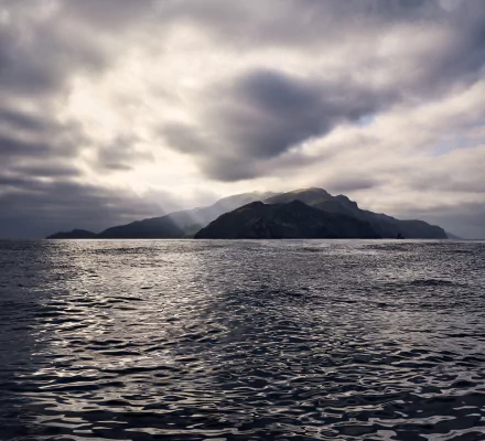 MacOS - Desktop Wallpapers, Phone Wallpaper, PFP, Gifs, and More!