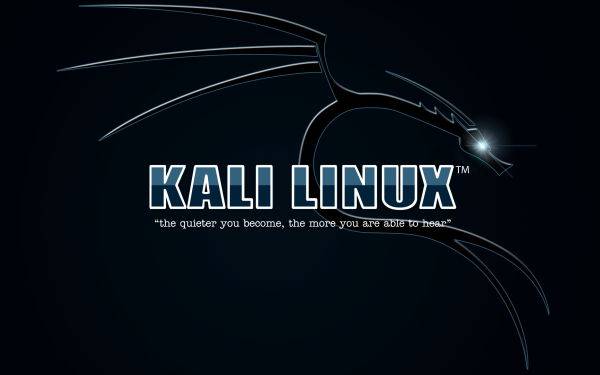 10 Kali Linux Fonds d'écran HD | Arrière-Plans - Wallpaper Abyss