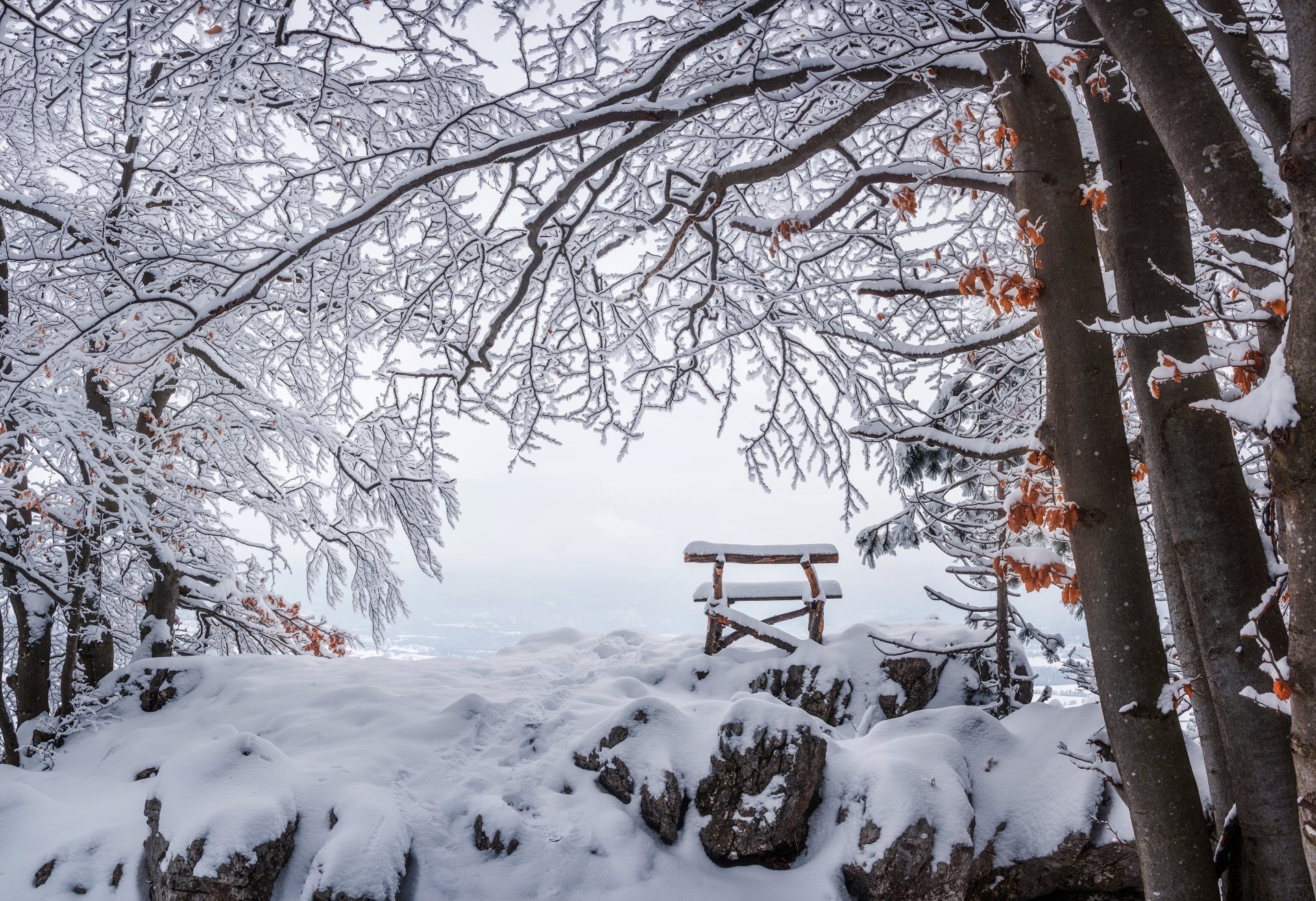 Winter Serenity: Snow-Covered Bench in 4K Ultra HD Nature Escape