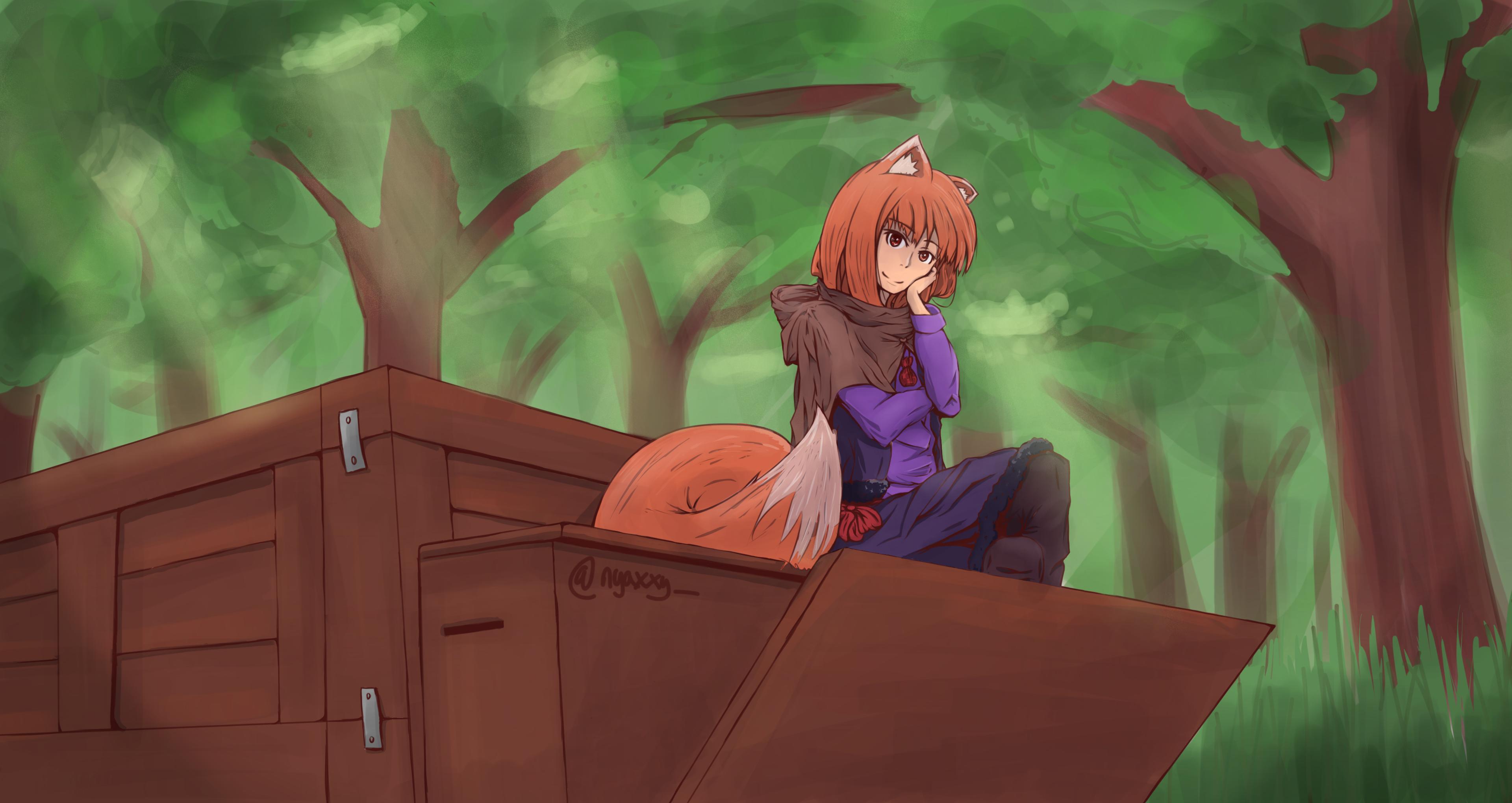 Download Holo (Spice & Wolf) Anime Spice And Wolf HD Wallpaper by Nyaxxy