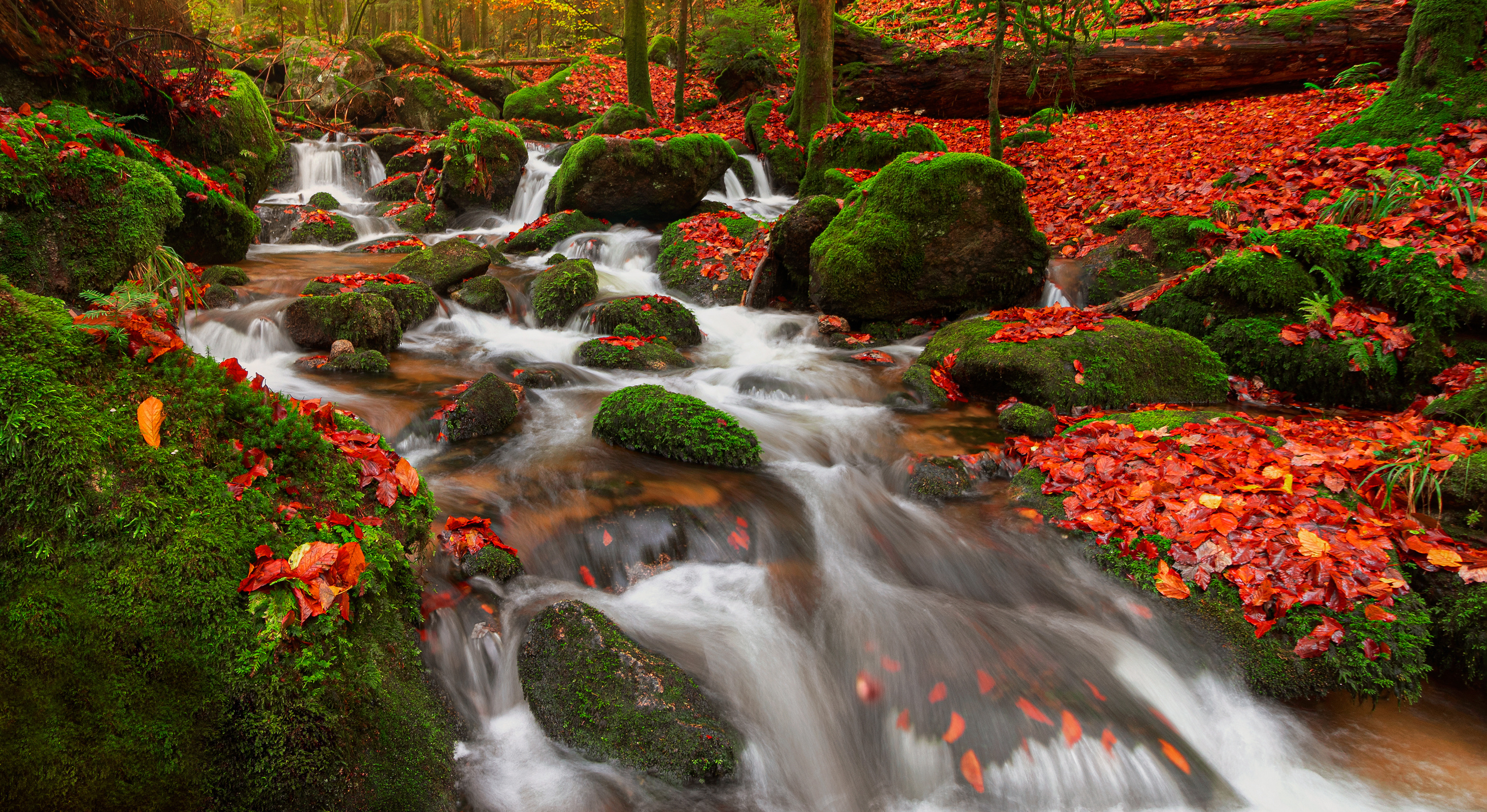 Download Fall Nature Stream HD Wallpaper