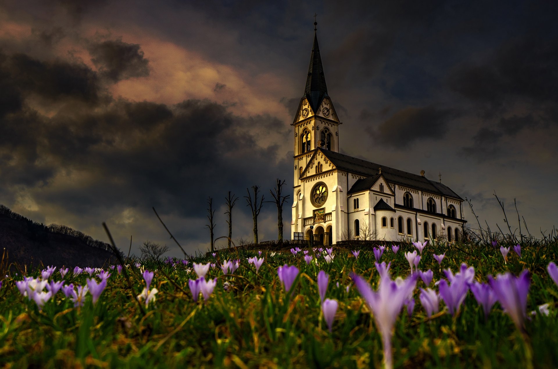 Download Crocus Spring Flower Religious Church 4k Ultra HD Wallpaper ...
