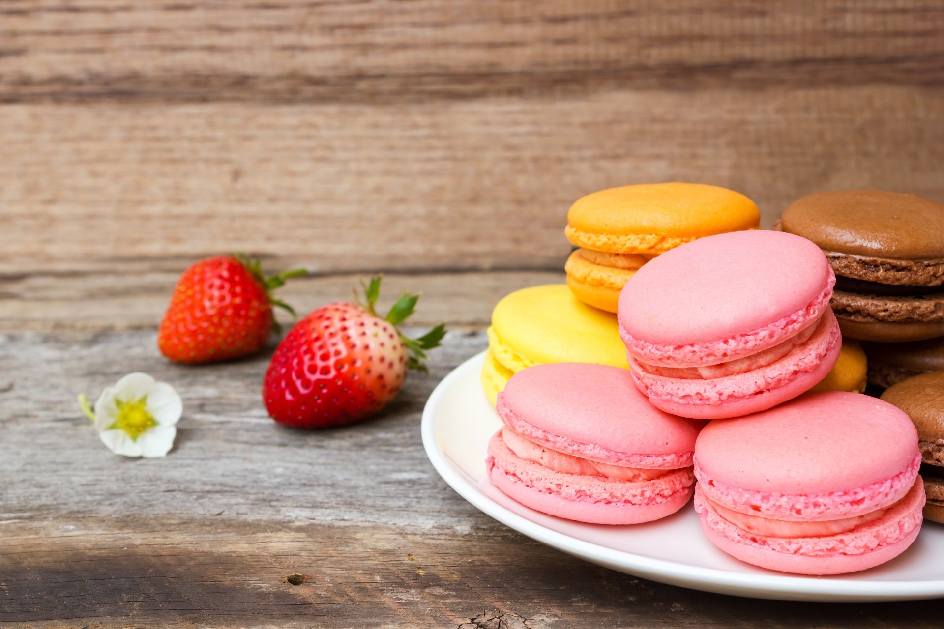 Download Still Life Sweets Food Macaron 4k Ultra HD Wallpaper