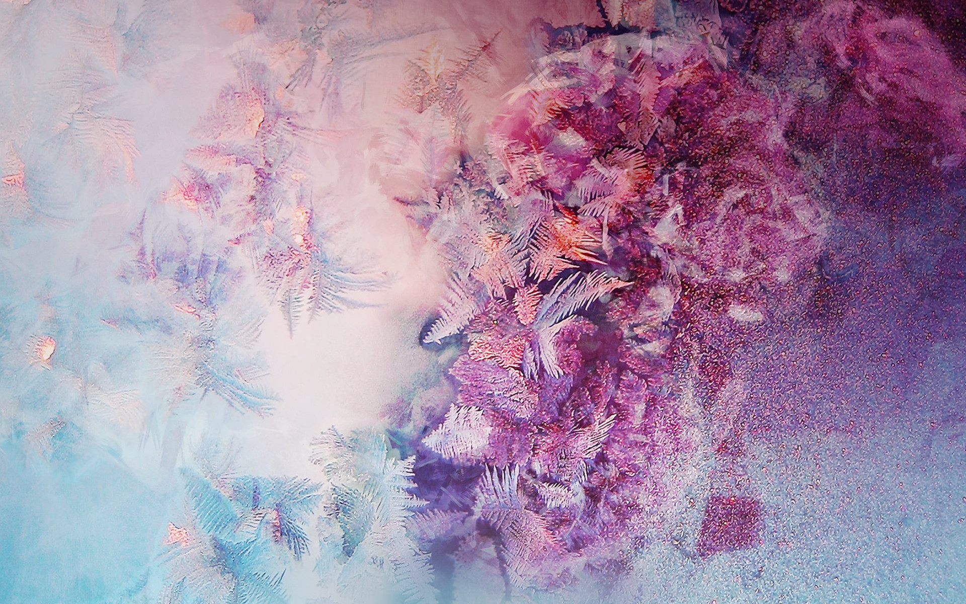 Download Abstract Pink HD Wallpaper