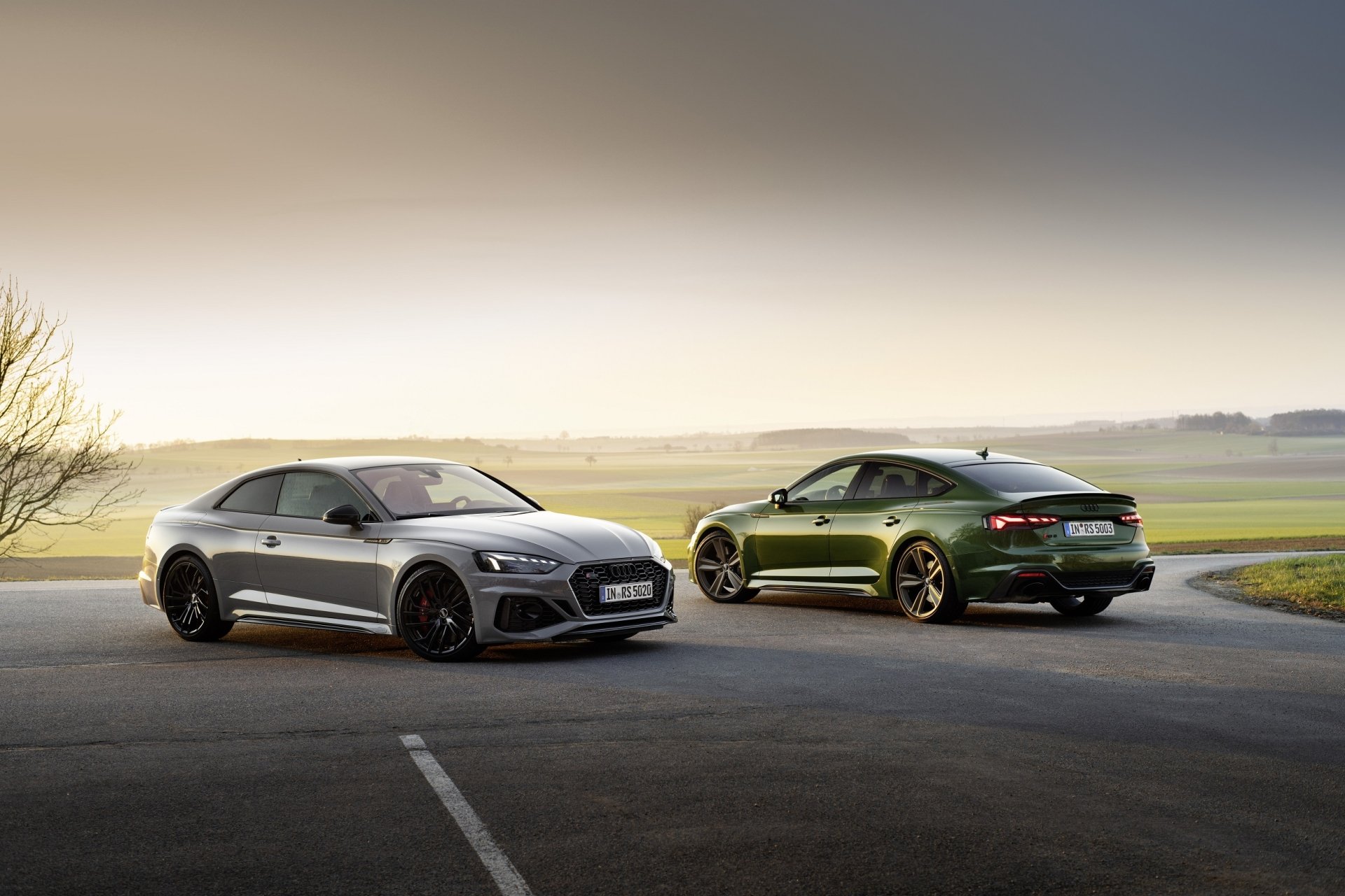 Download Silver Car Green Car Car Audi Vehicle Audi RS5 HD Wallpaper ...
