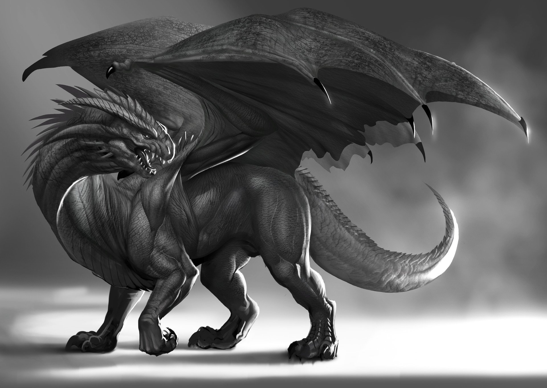 Download Fantasy Dragon HD Wallpaper By Chris Koh download-fantasy-dragon-hd-wallpaper-by-chris-koh