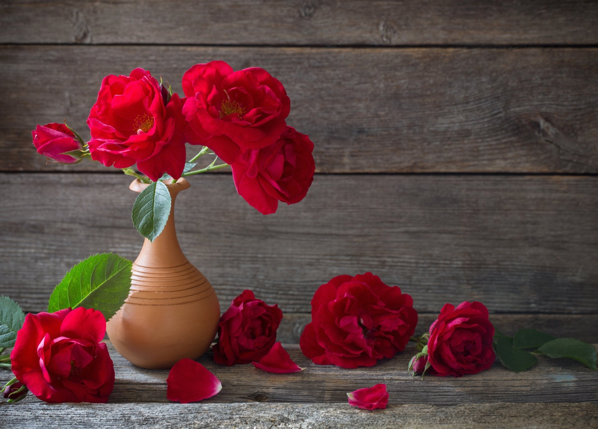 Download Red Rose Flower Rose Vase Photography Still Life 4k Ultra HD ...