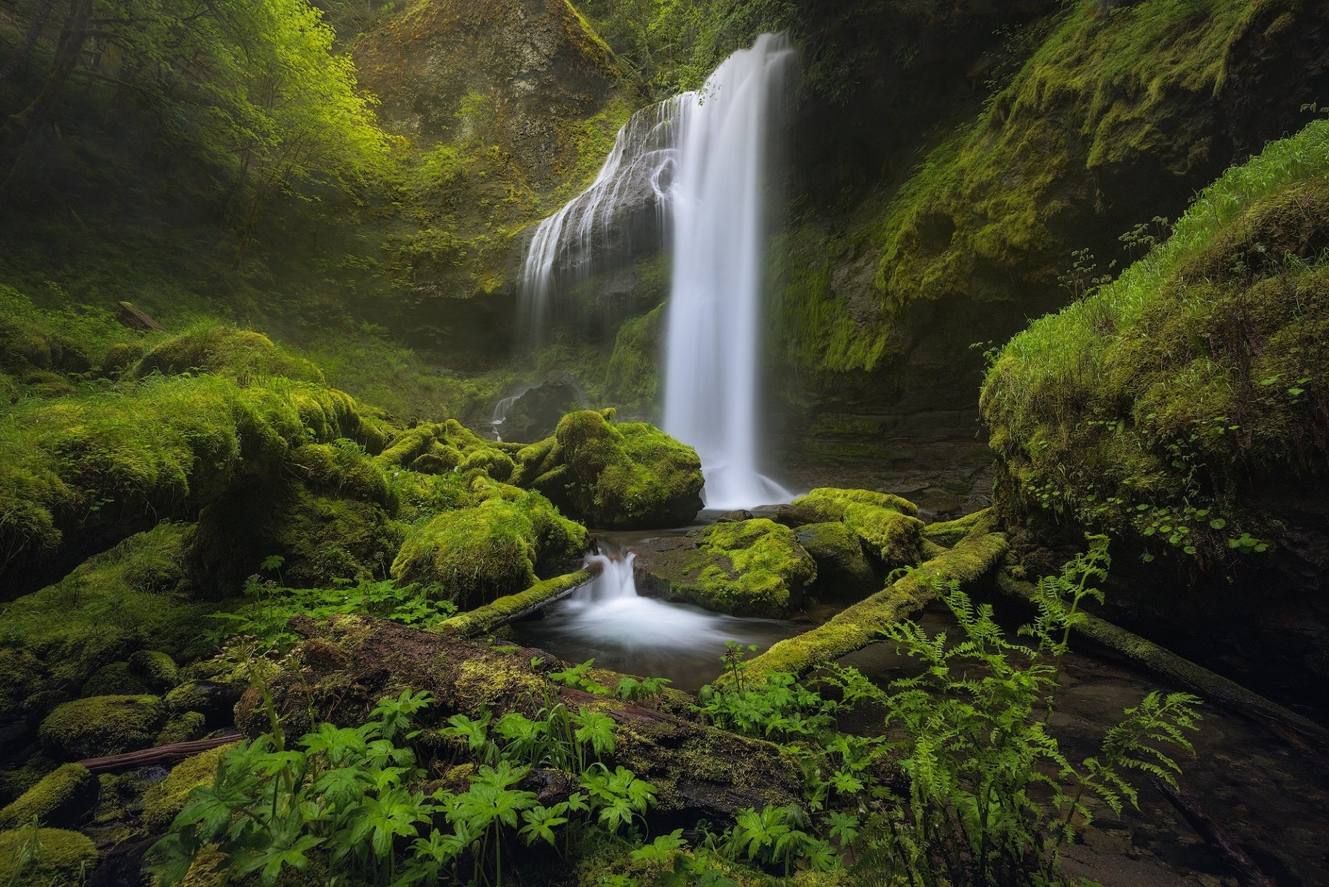 Download Nature Greenery Moss Waterfall HD Wallpaper