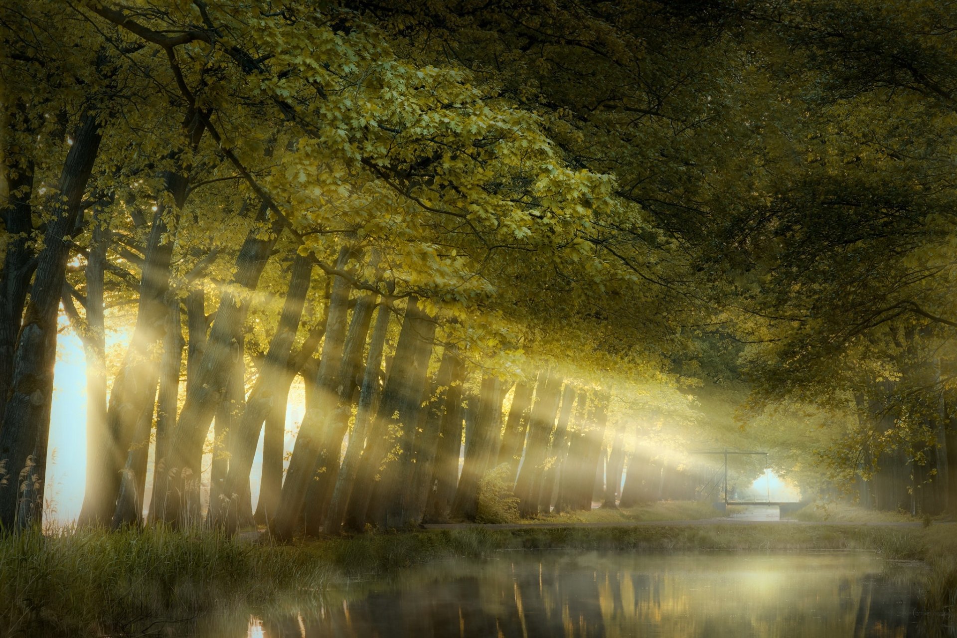 Nature Sunbeam HD Wallpaper