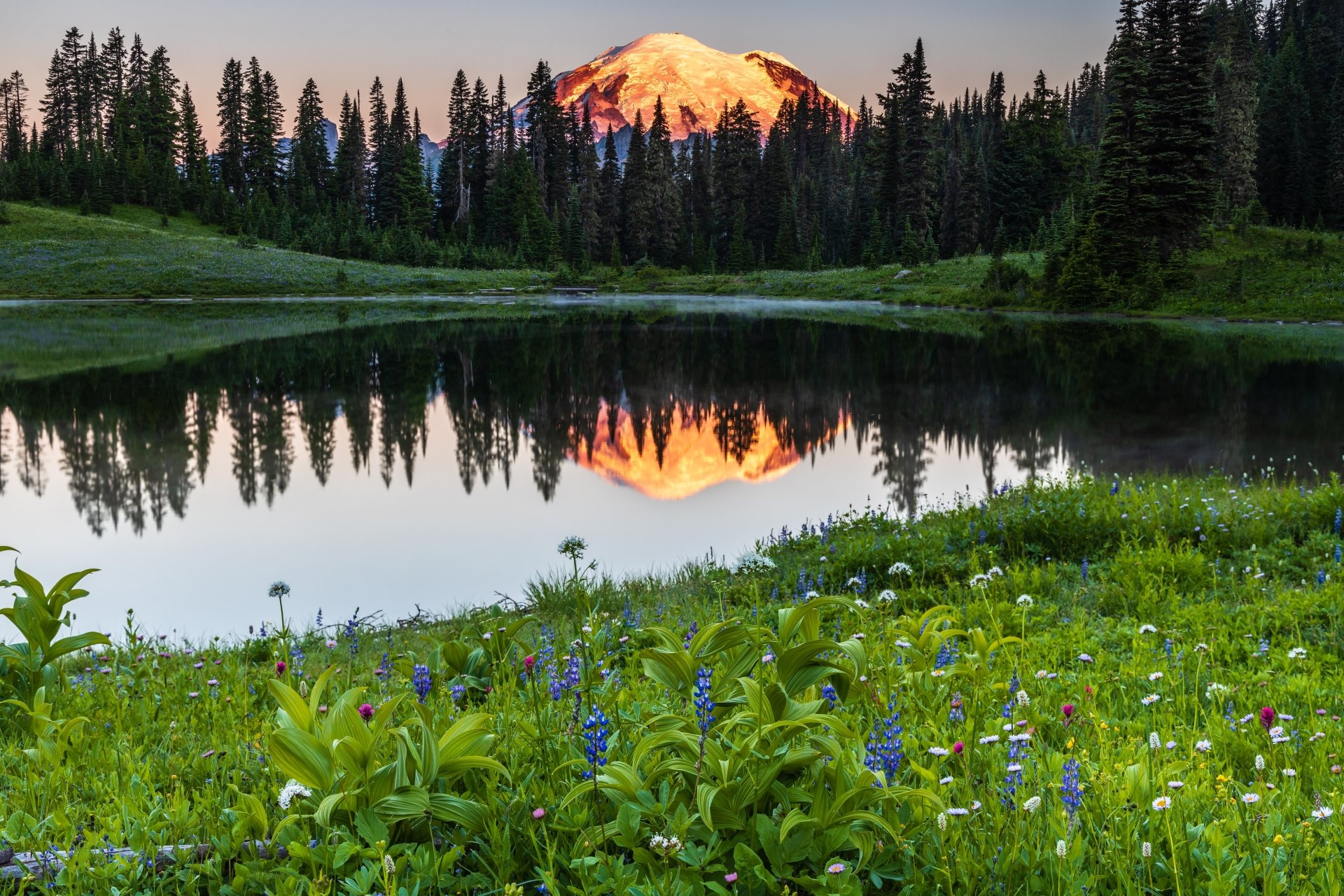 Download USA Reflection Lake Mountain Sunset Landscape Tree National ...