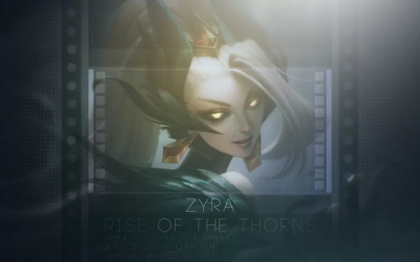 Download Morgana (League Of Legends) Zyra (League Of Legends) Video Game League Of Legends HD ...