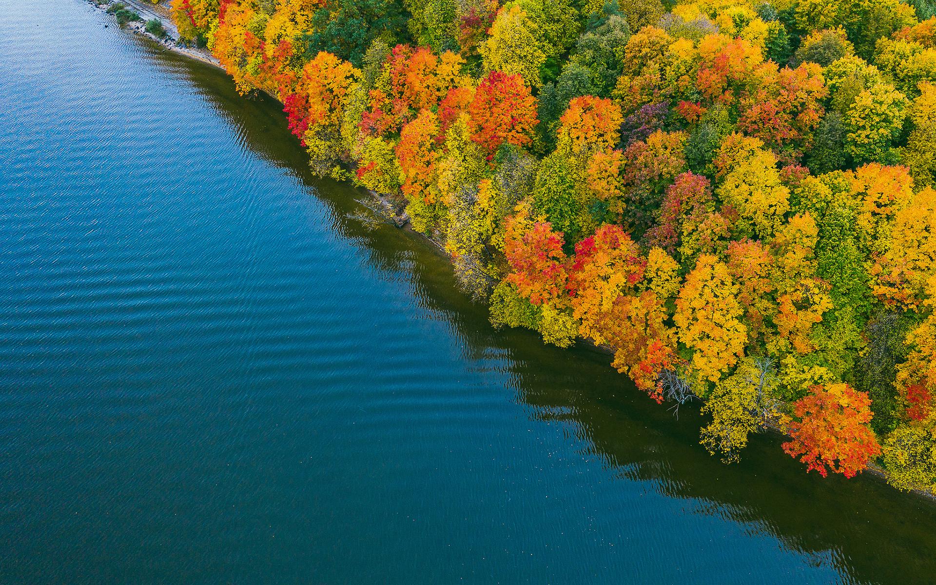 Download Forest Lake Fall Photography Aerial HD Wallpaper