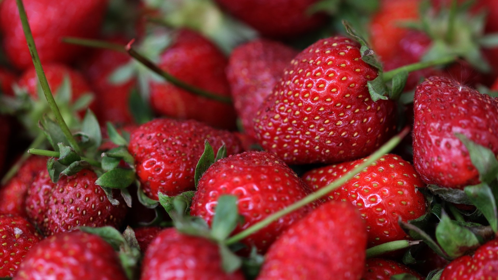 Download Berry Food Strawberry 4k Ultra HD Wallpaper