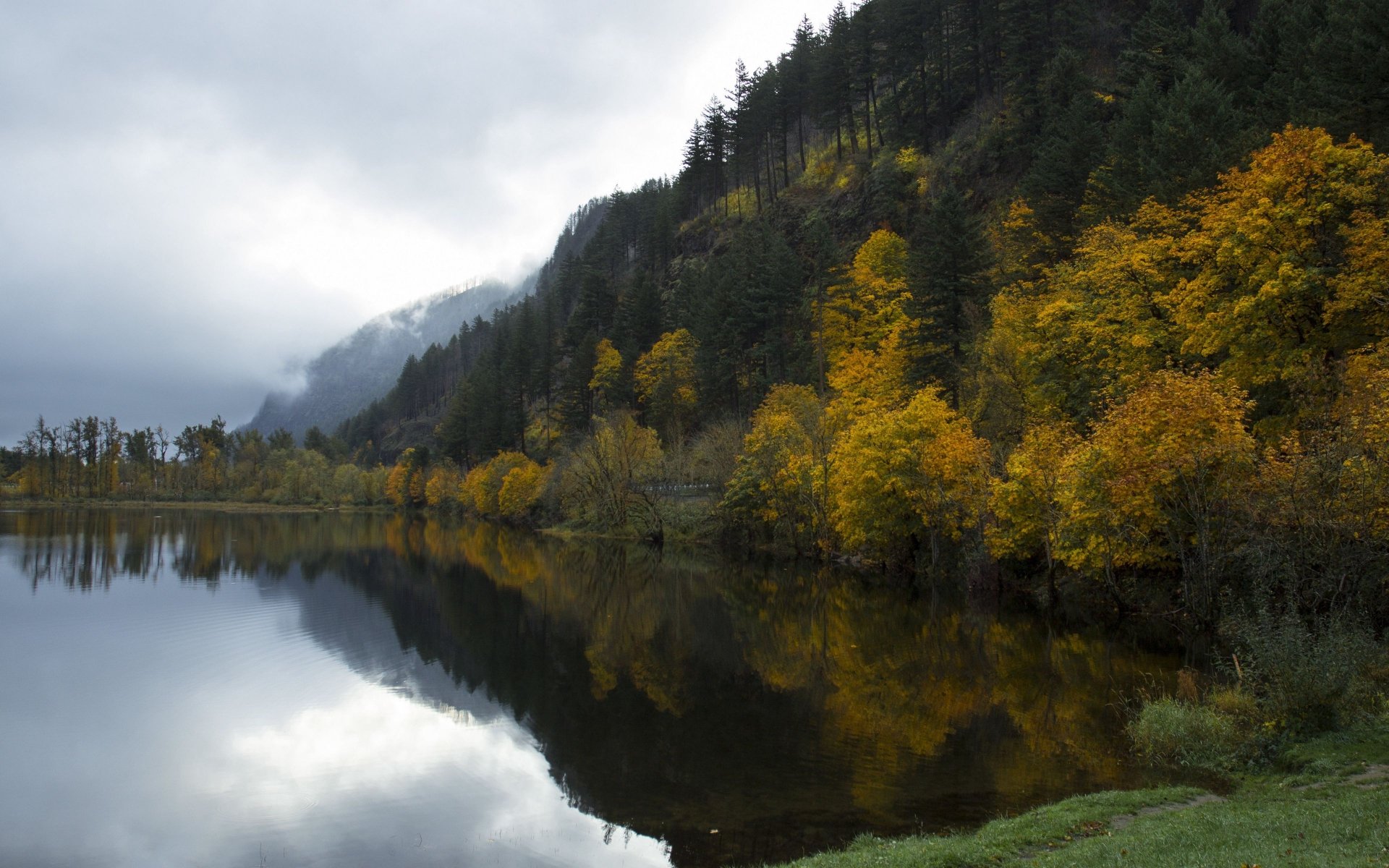 Download Forest Mountain Fall Reflection Fog Nature Lake 4k Ultra HD ...