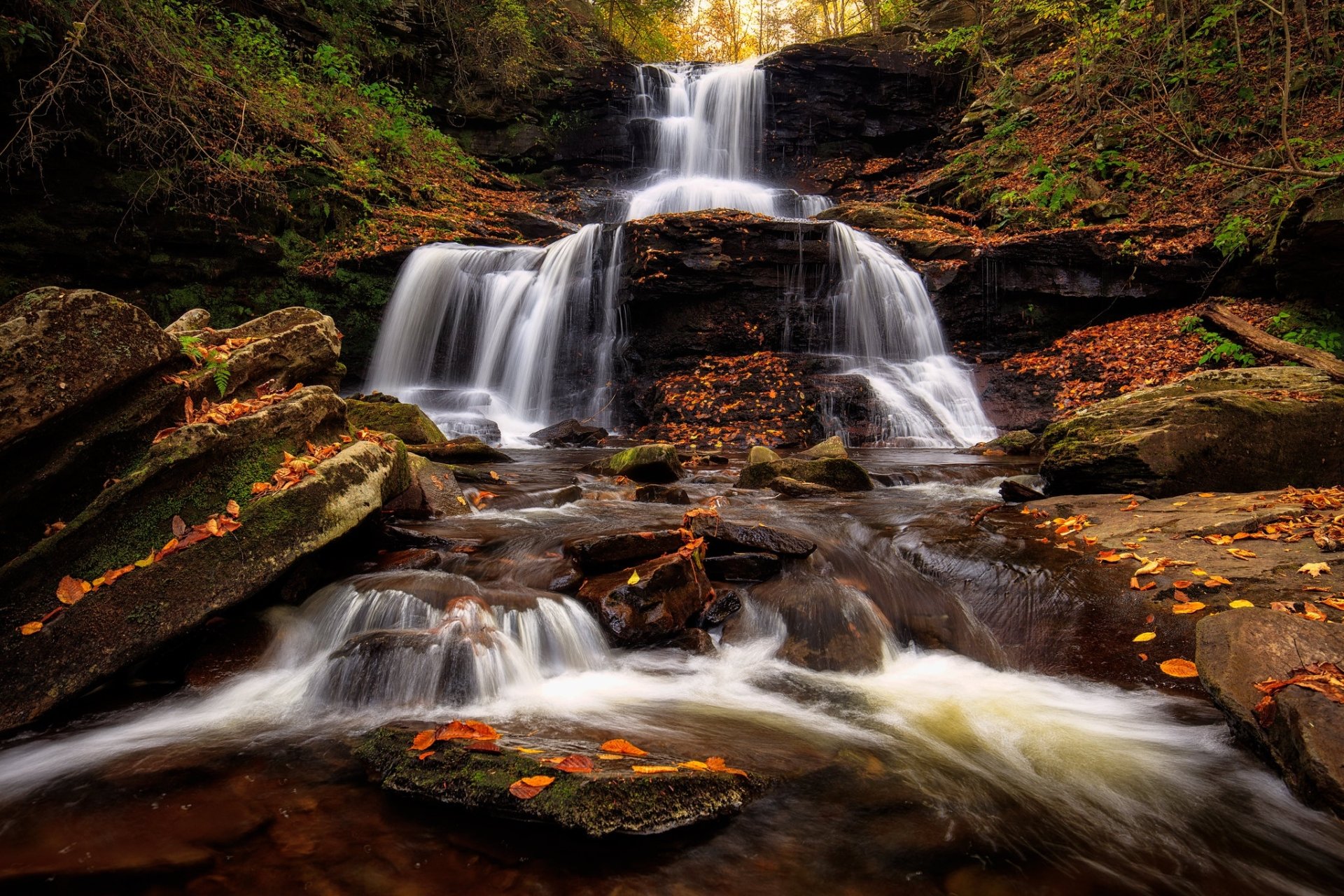 Download Fall Nature Waterfall HD Wallpaper