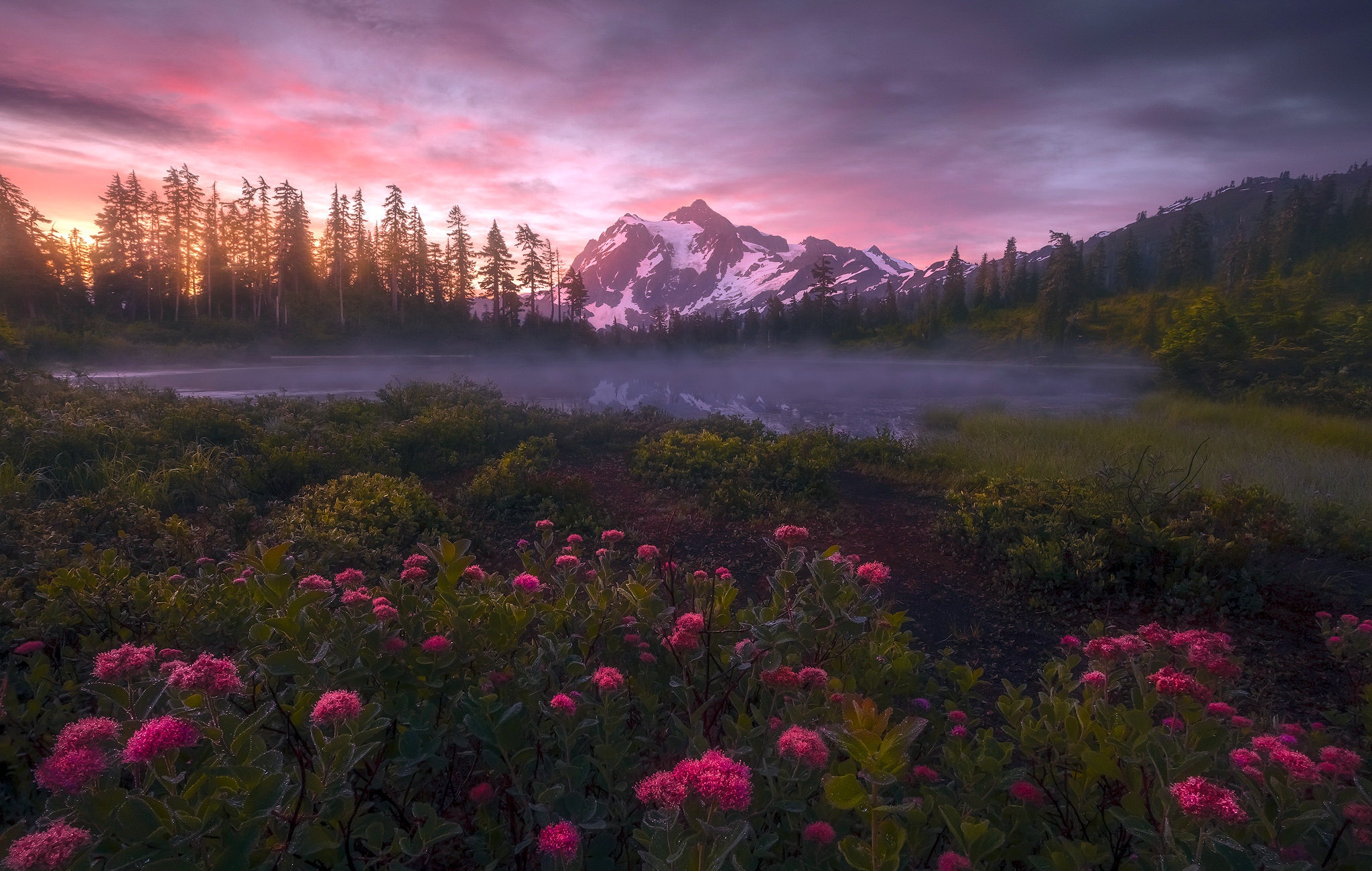 Wallpaper Sunset Mountain Flowers Beautiful Sunrise Flowers Mountain