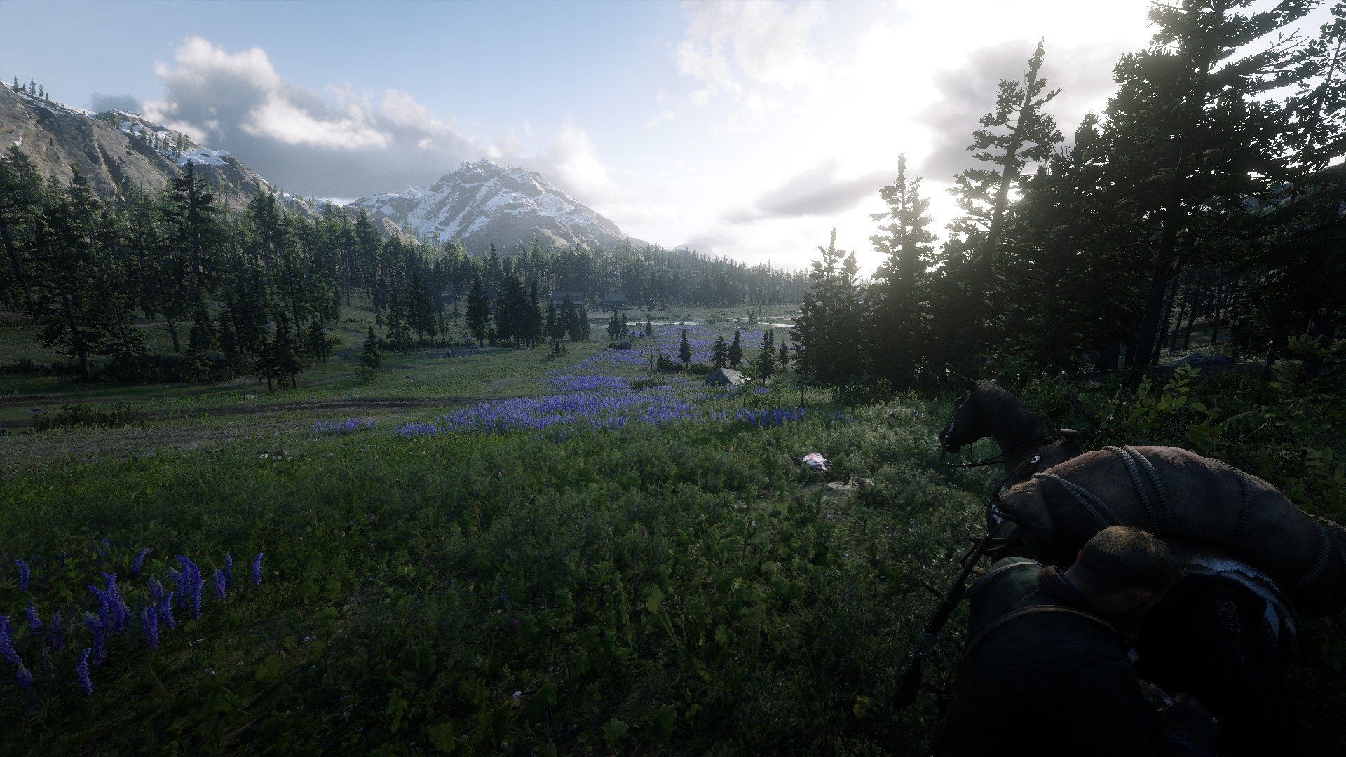 Red Dead Redemption 2 HD Wallpaper: Epic Western Wilderness Vista by ...