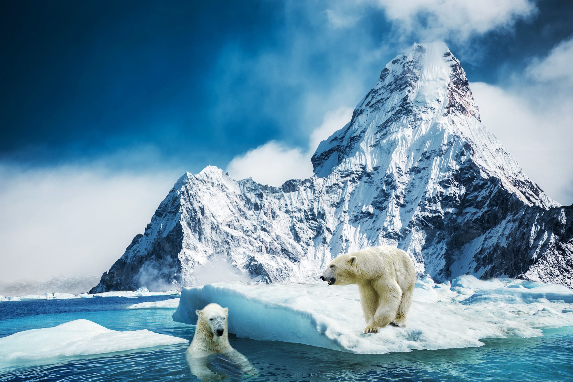 Download Bear Ice Mountain Animal Polar Bear HD Wallpaper