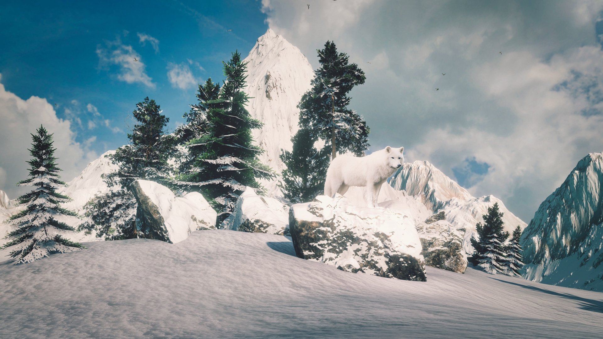 Download Spruce Wolf Mountain Snow Cloud Sky Winter Animal Arctic Wolf ...