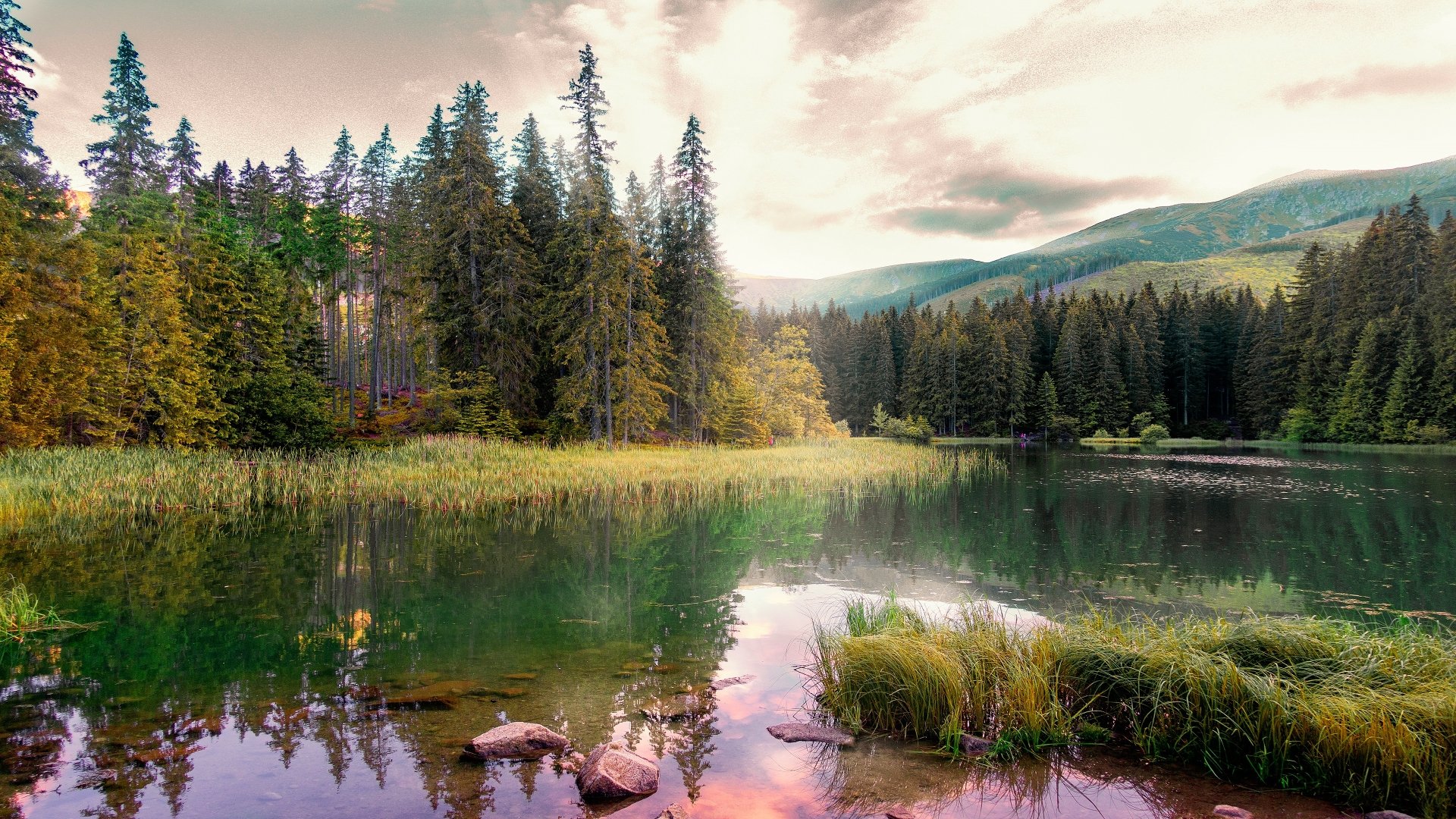 Download Reflection Lake Forest Nature Landscape 4k Ultra HD Wallpaper ...