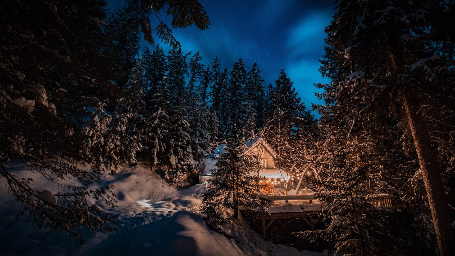 Download Fir Tree Christmas House Night Snow Forest Photography Winter Winter Night 4k Ultra HD ...