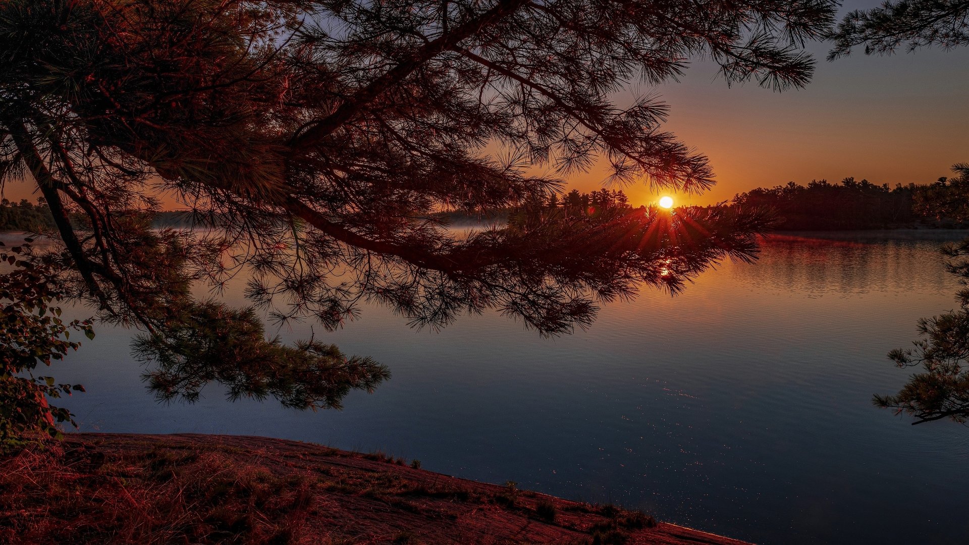 Download Pine Tree Twilight Evening Lake Branch Nature Sunset 4k Ultra ...