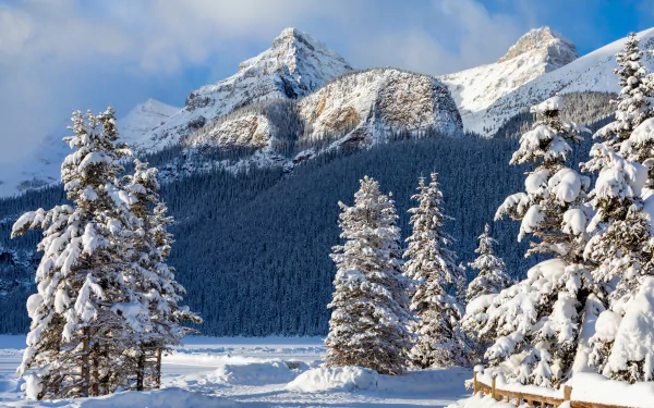 [30+] Banff National Park 4k Wallpapers
