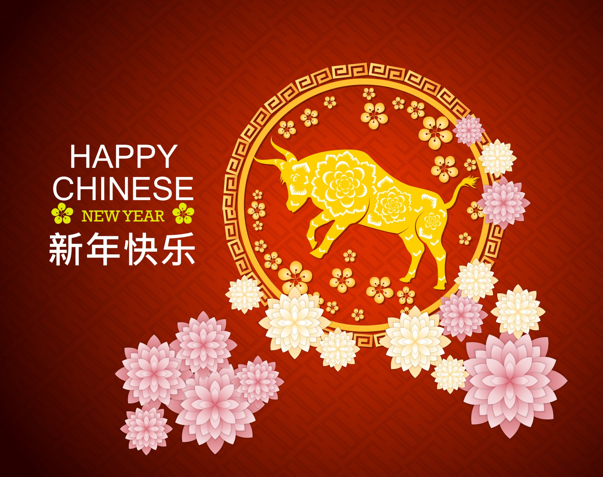 Holiday Chinese New Year 4k Ultra HD Wallpaper