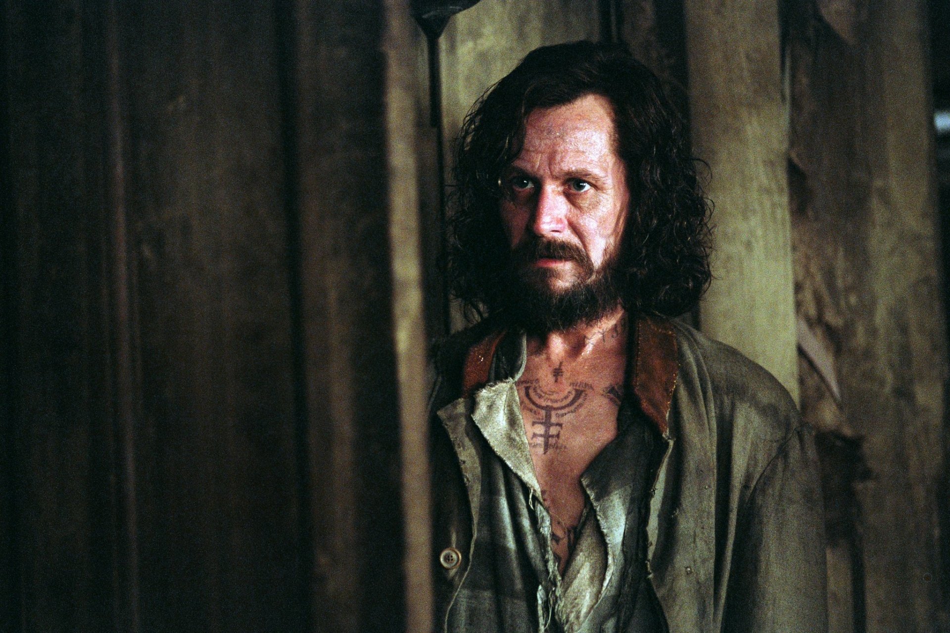 Download Gary Oldman Sirius Black Movie Harry Potter And The Prisoner ...