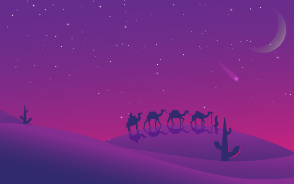[10+] Camel 4k Wallpapers