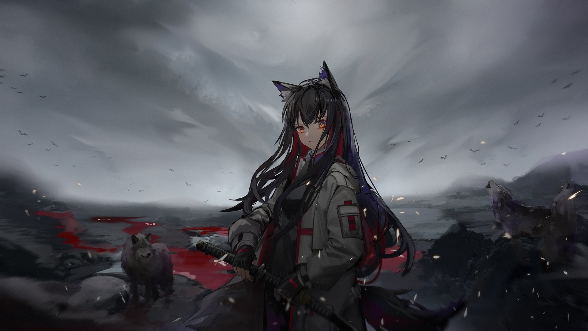 Texas the Wolf Katana Warrior – Arknights HD Wallpaper