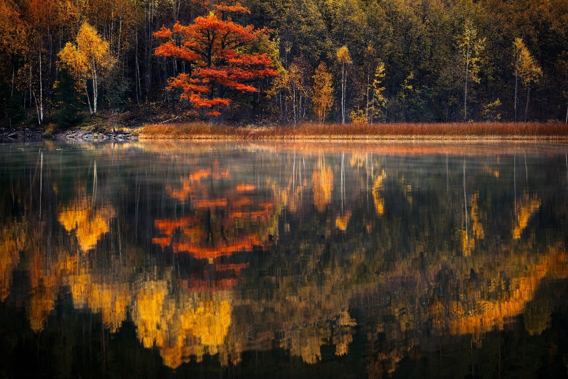 Download Fall Nature Reflection HD Wallpaper
