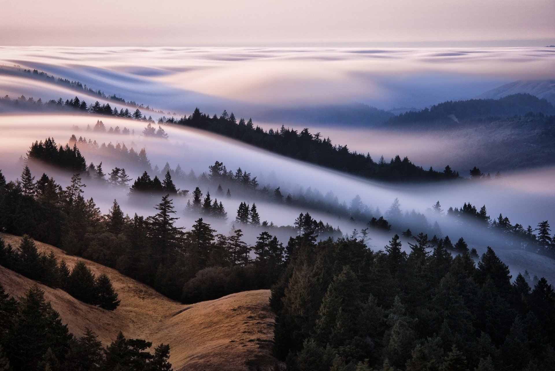 Download Sea Of Clouds Nature Fog HD Wallpaper