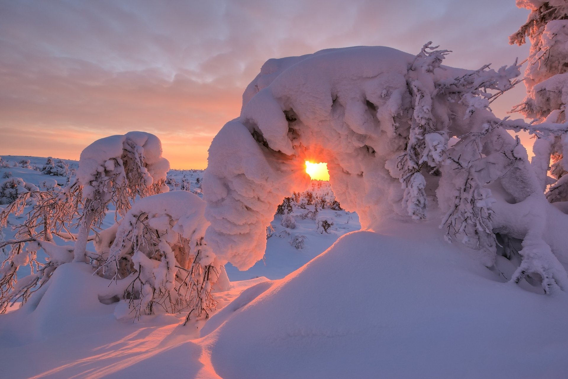 Winter’s Embrace: Stunning HD Snow-Covered Nature Wallpaper at Sunset