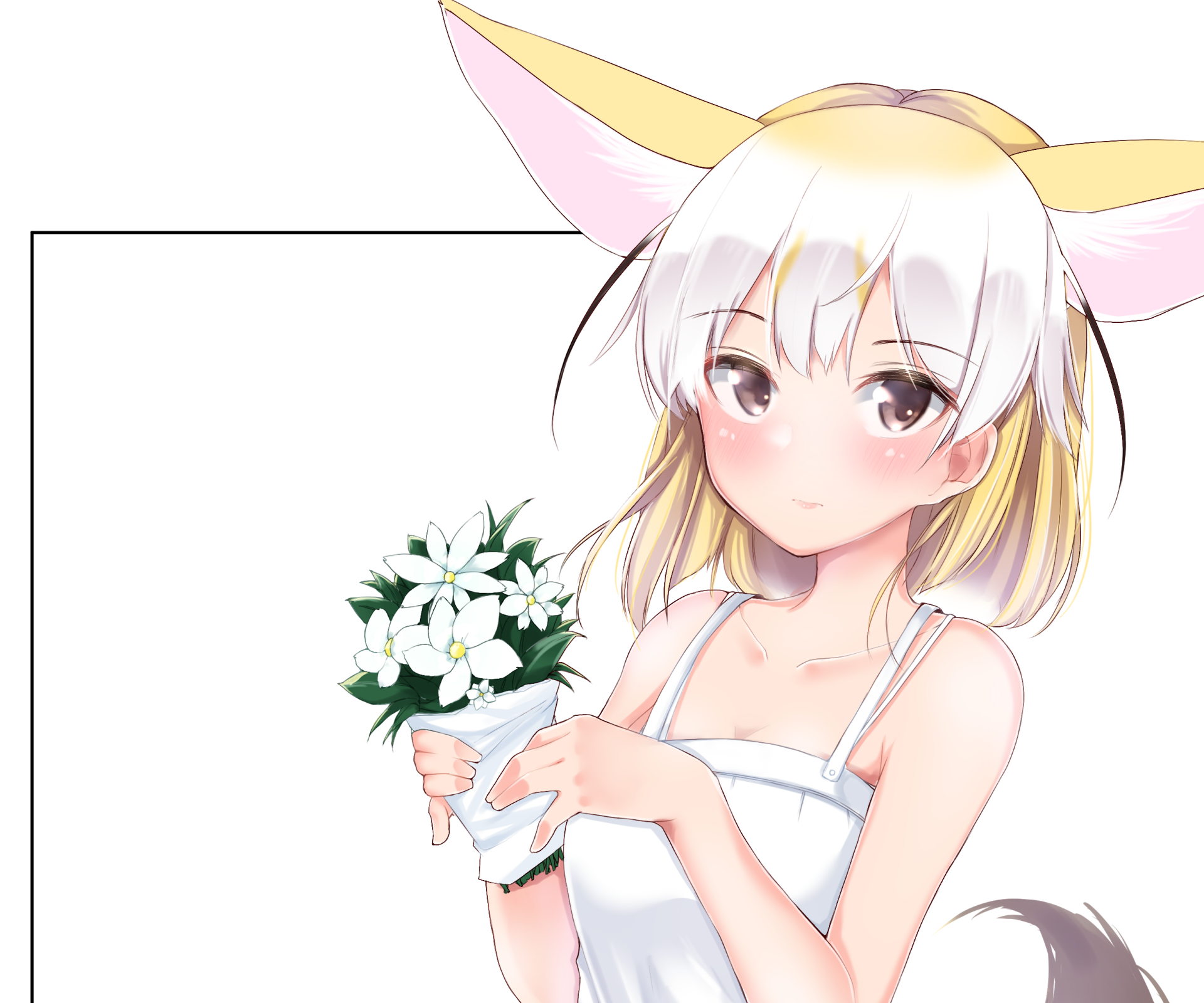 Download Fennec (Kemono Friends) Anime Kemono Friends HD Wallpaper