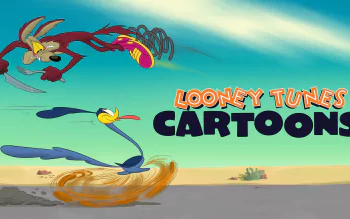 Looney Tunes Road Runner Cartoon