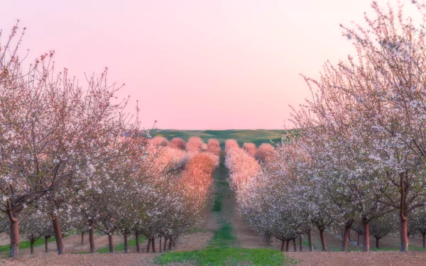 [580+] Field 4k Wallpapers