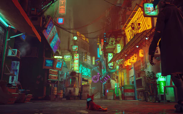 Download Video Game Stray 4k Ultra HD Wallpaper