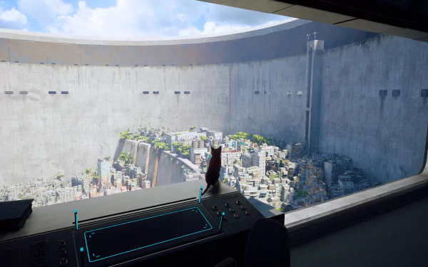 [110+] Stray Wallpapers