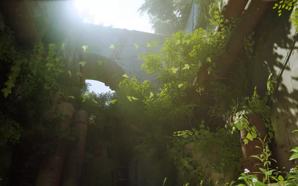 Download Video Game Stray 4k Ultra HD Wallpaper