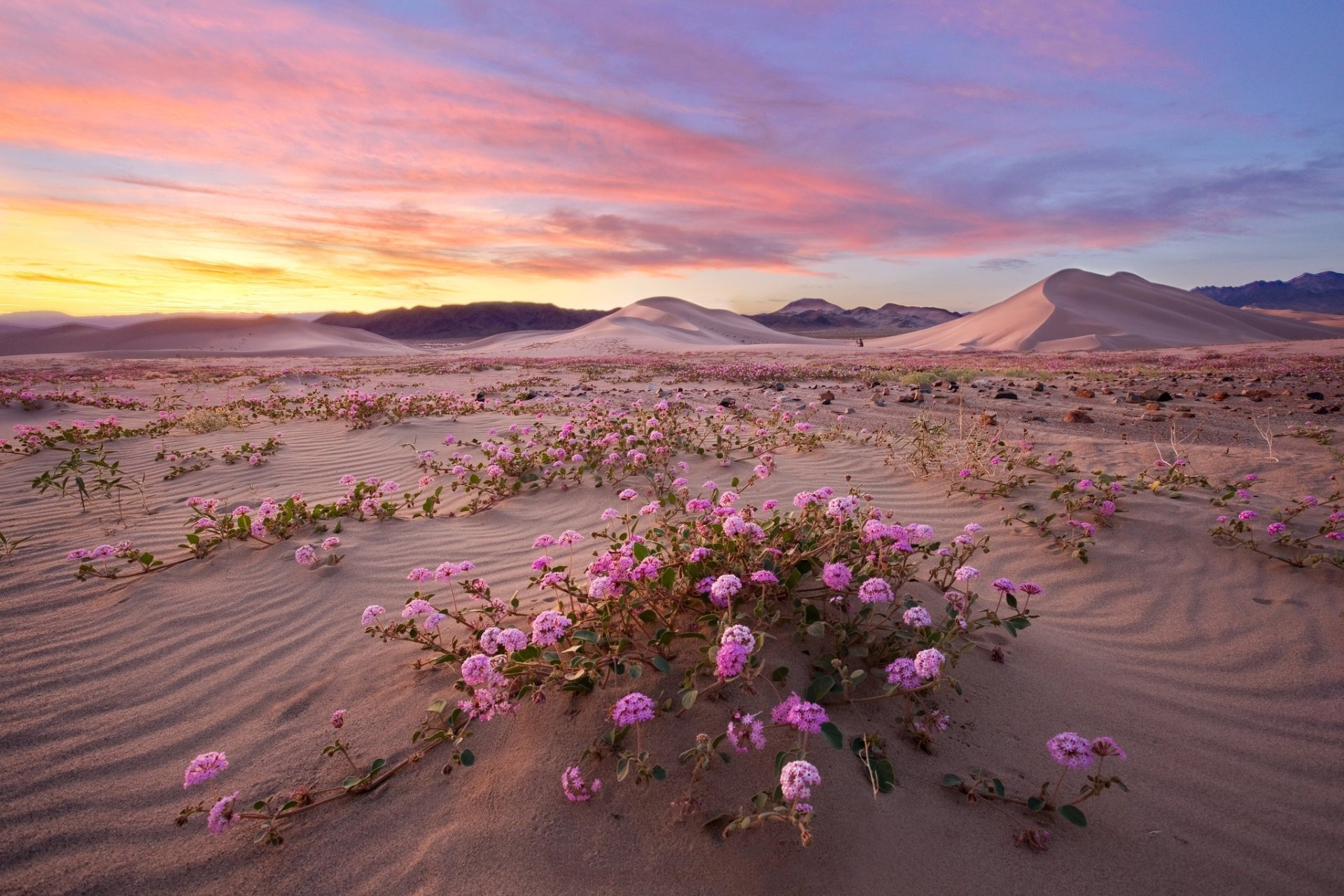 Download Sand Nature Desert HD Wallpaper