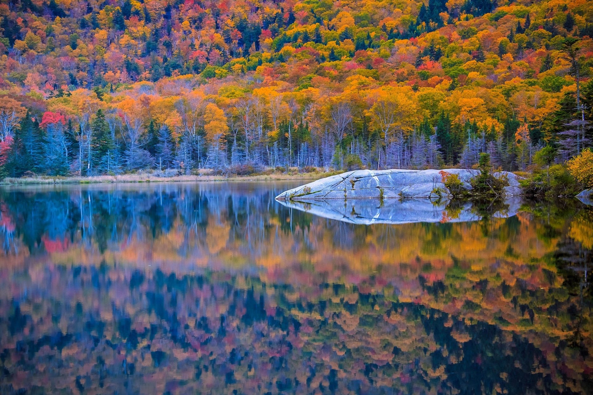 Autumn Mirror: Stunning Fall Reflection in HD Nature Wallpaper ...