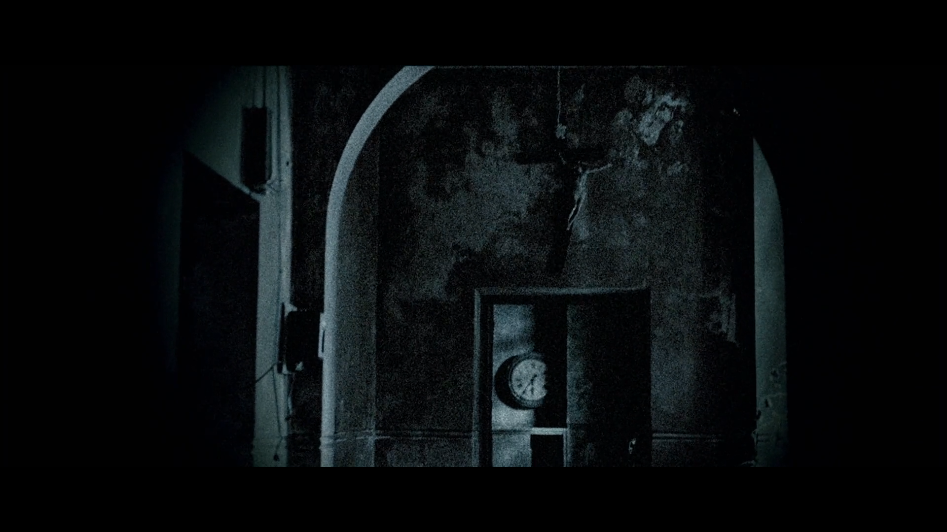 Download Movie Shrooms HD Wallpaper